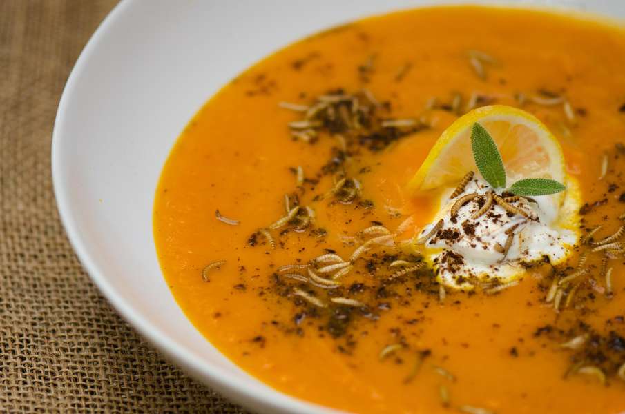 Edible Insects: 8 Bug Recipes We Dare You to Eat - Thrillist