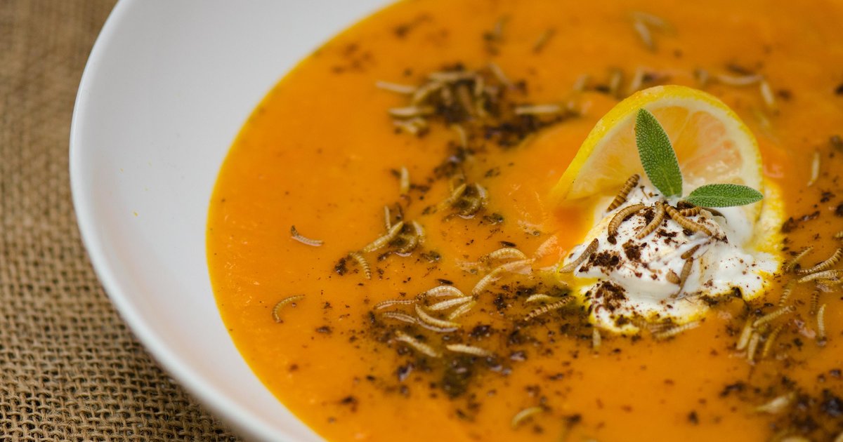 Edible Insects: 8 Bug Recipes We Dare You to Eat - Thrillist