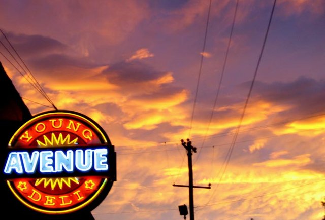 Best Bars in Memphis - The 11 Coolest Places to Drink