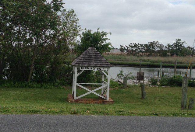 Weird Roadside Attractions - Strangest Road Trip Sights