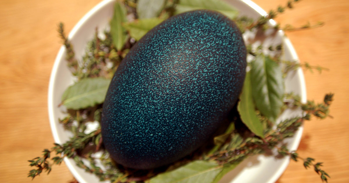 Dine Like You're In Freaking Westeros At This Game of Thrones Dinner ...