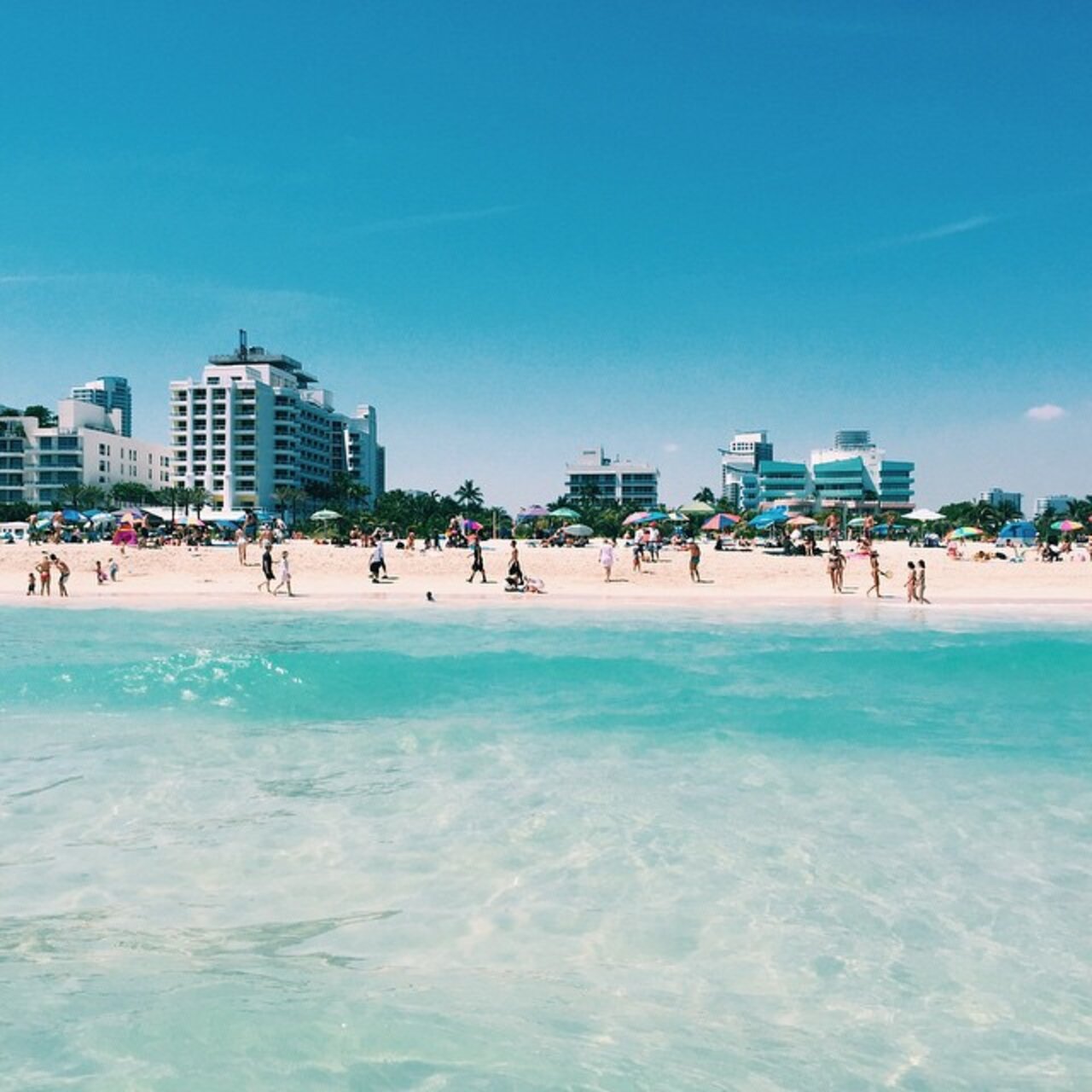Best Instagram in Miami - Miami Instagrams - Thrillist