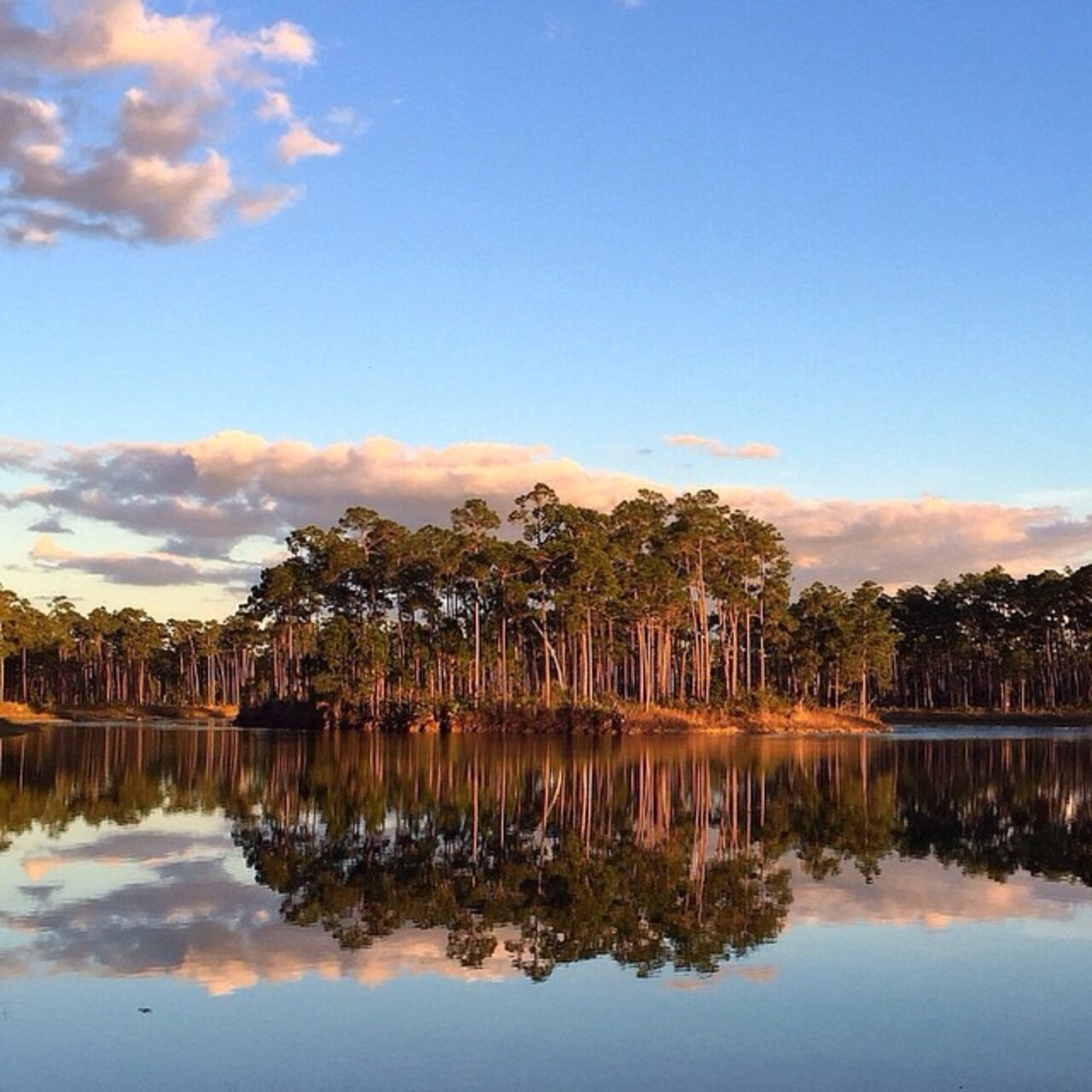 Best Instagram in Miami - Miami Instagrams - Thrillist