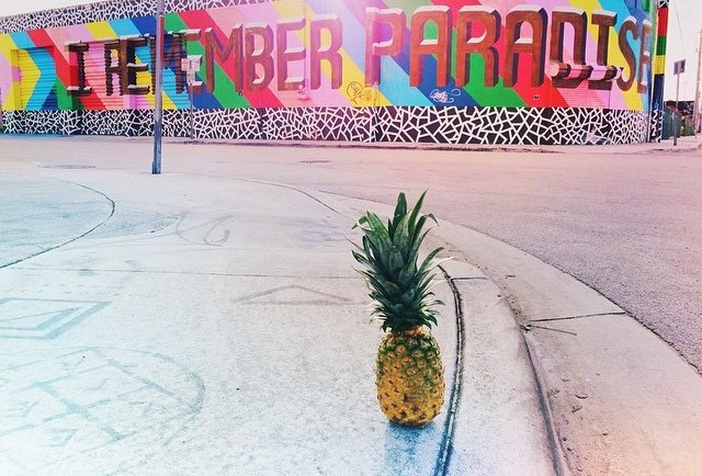 Best Instagram in Miami - Miami Instagrams