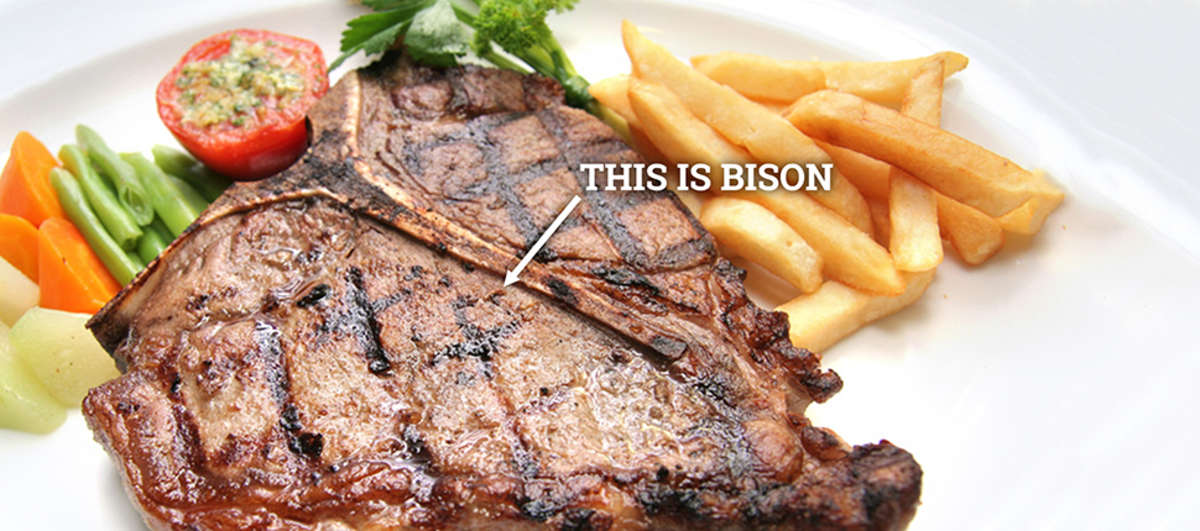 The Best Bison Steak, Ostrich Burgers, and More Awesome Game Meats in ...