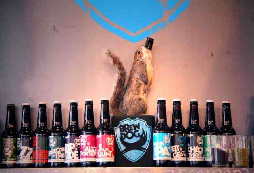 BrewDog Camden: A Bar in London, Greater London - Thrillist