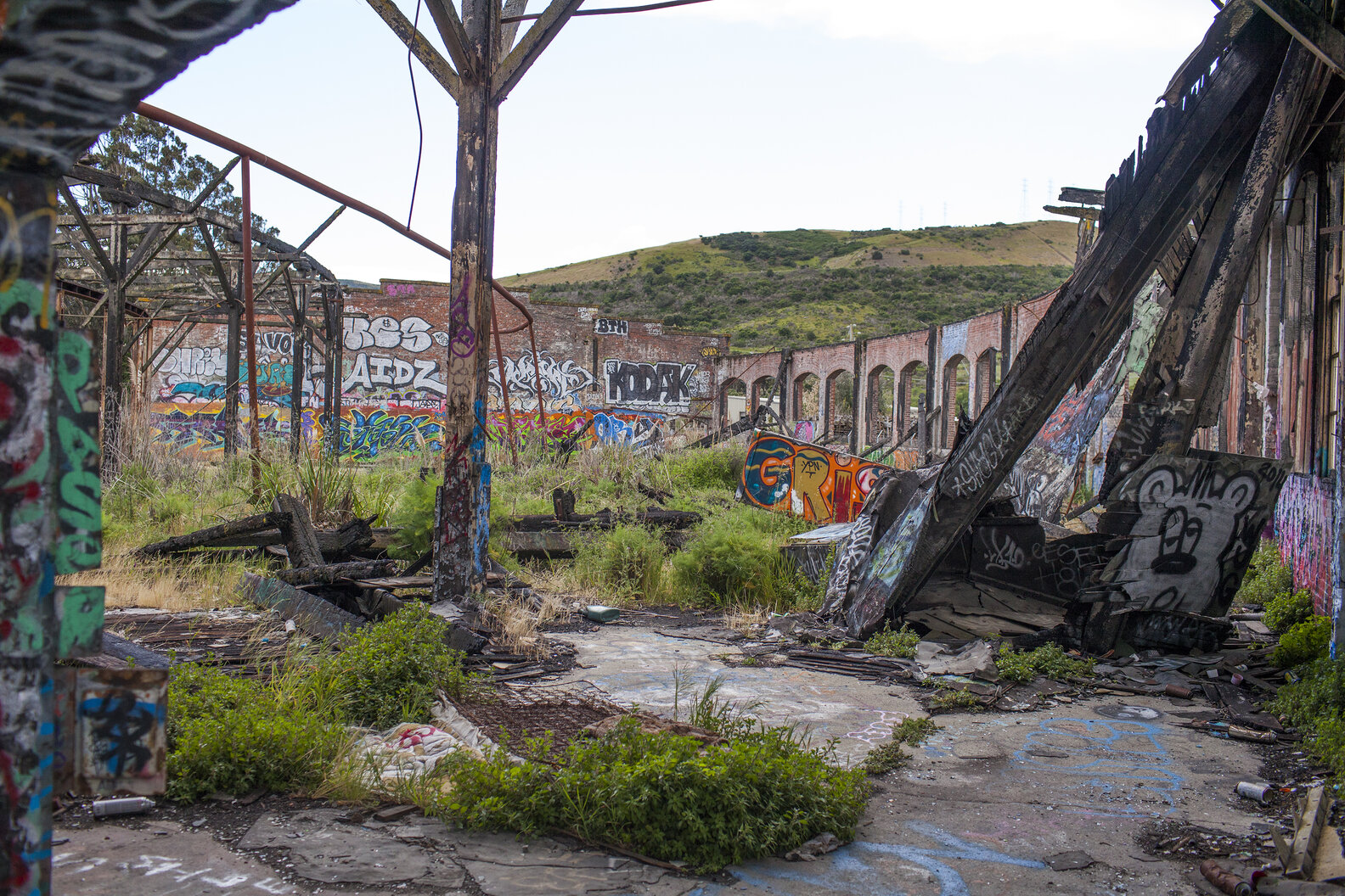 Abandoned Bayshore Train Yard Photos in San Francisco - Thrillist