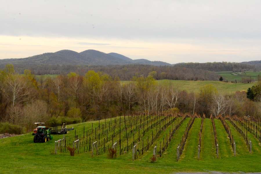 Virginia Wineries Worth The Trip From DC - Thrillist