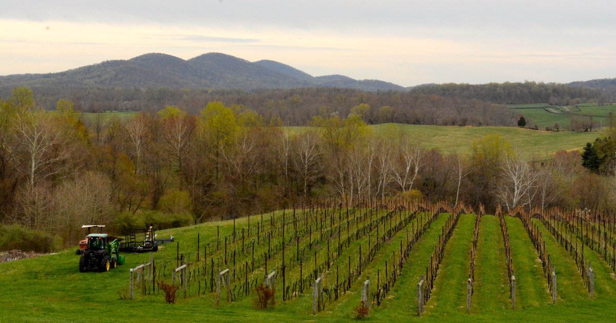 Virginia Wineries Worth The Trip From DC - Thrillist