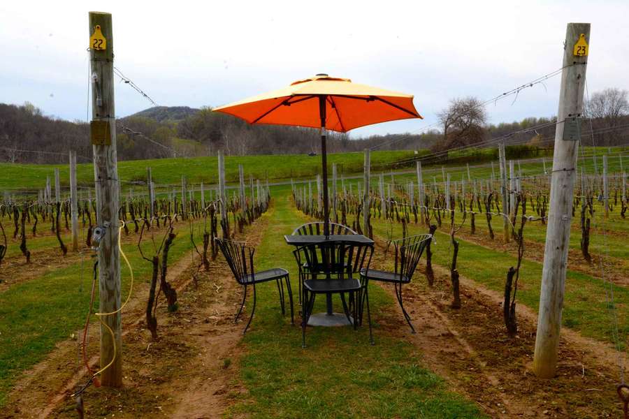 Three Fox Vineyards & Brewery: A Bar in Delaplane, VA - Thrillist