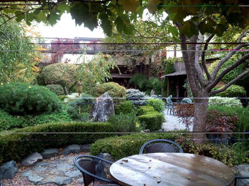 Domo Japanese Country Foods Restaurant: A Restaurant in Denver, CO ...