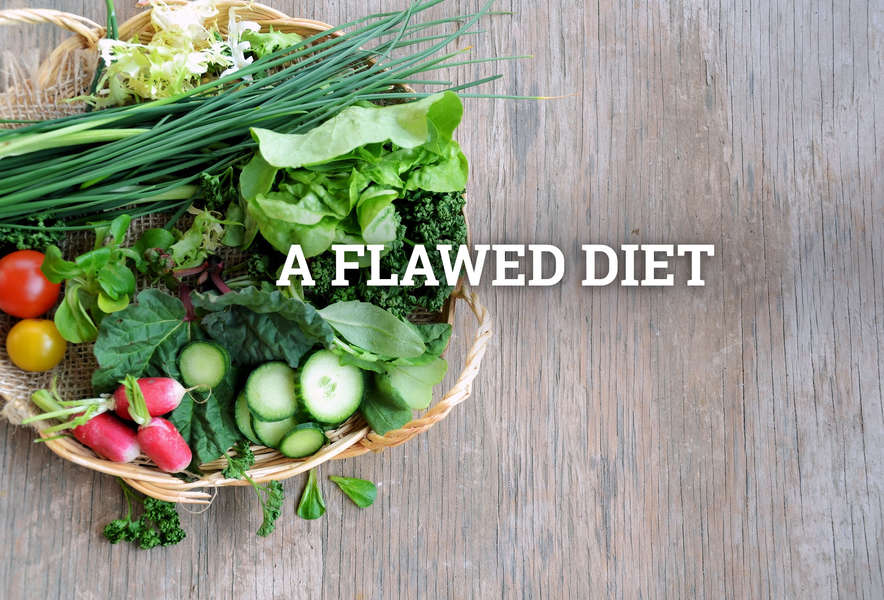 Fad Diets: 8 Popular Diets and How They Might Be Killing You - Thrillist