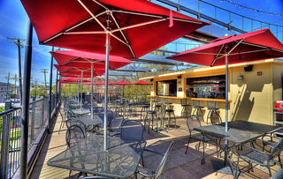 Forest Room 5: A Denver, CO Bar.