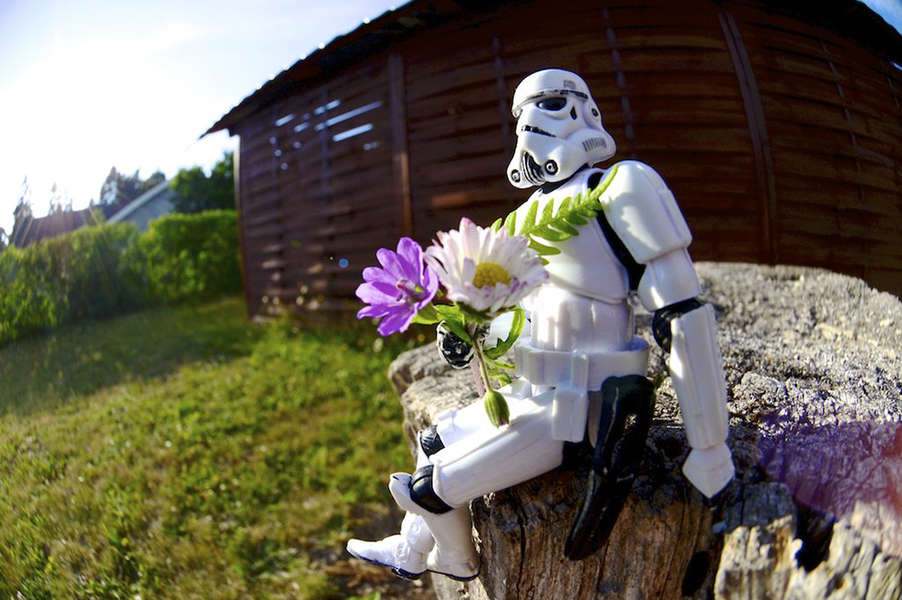 Alternative Date Ideas That Blow Dinner and a Movie Out the Water ...