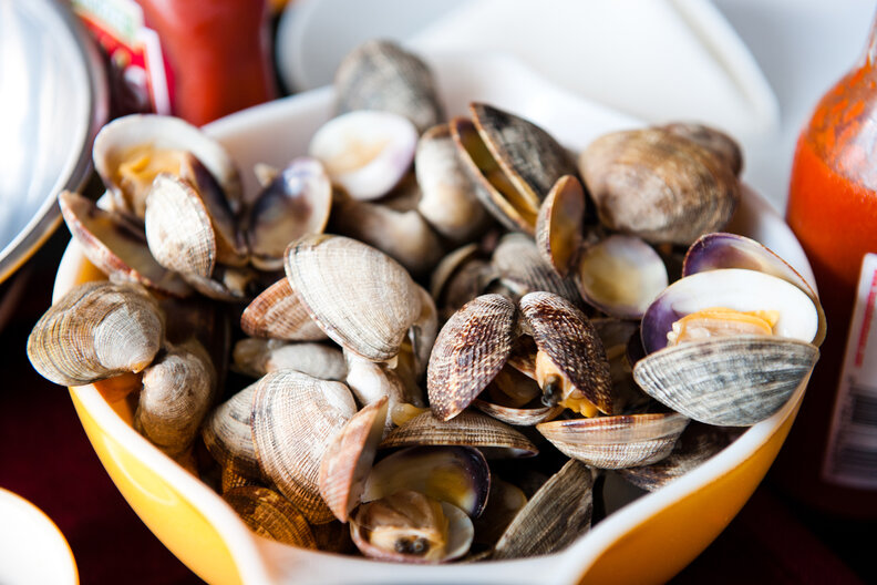 Boston Summer Events -- Things To Do In Boston, Boston JerkFest ...