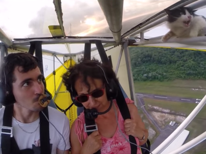 Crazy Flying Cat Video: Cat Flies on Wing of ULM Club 16-34 Plane ...