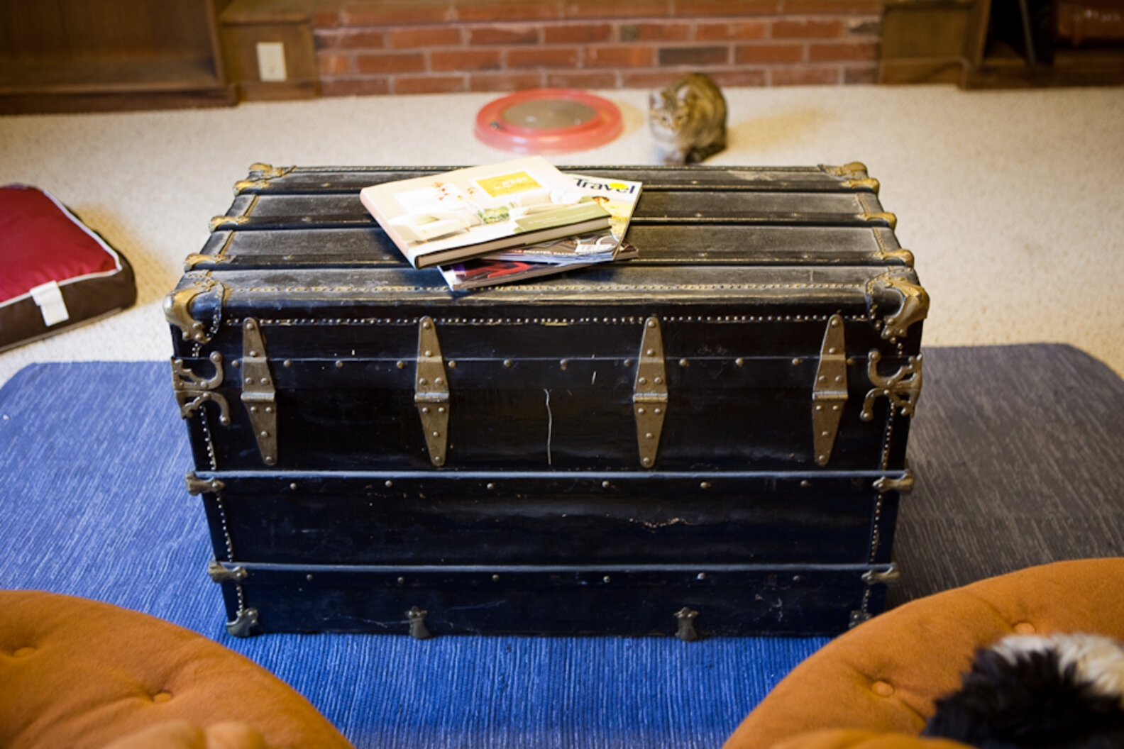 Fixing Up Your Apartment - 9 Tips to Fix Up Your Crappy Apartment ...