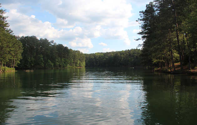 Brook Bolen - Thrillist