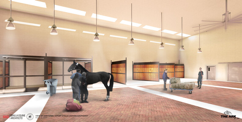 JFK Is Getting a Luxury Animal Terminal, Complete With Dog Pools ...