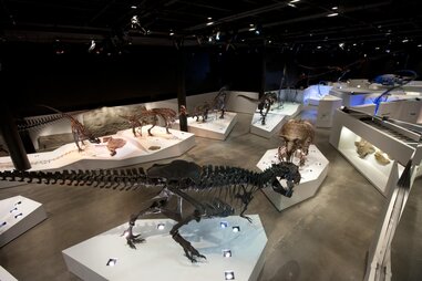 13 Things to Do in Houston This August - Thrillist