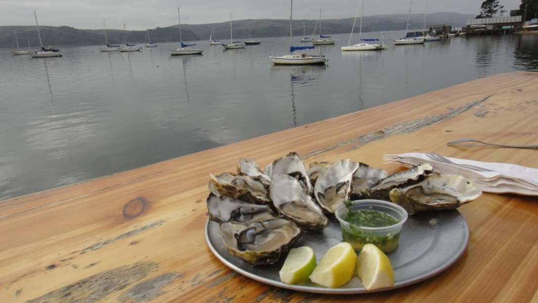 The Marshall Store: A Restaurant in Marshall, CA - Thrillist