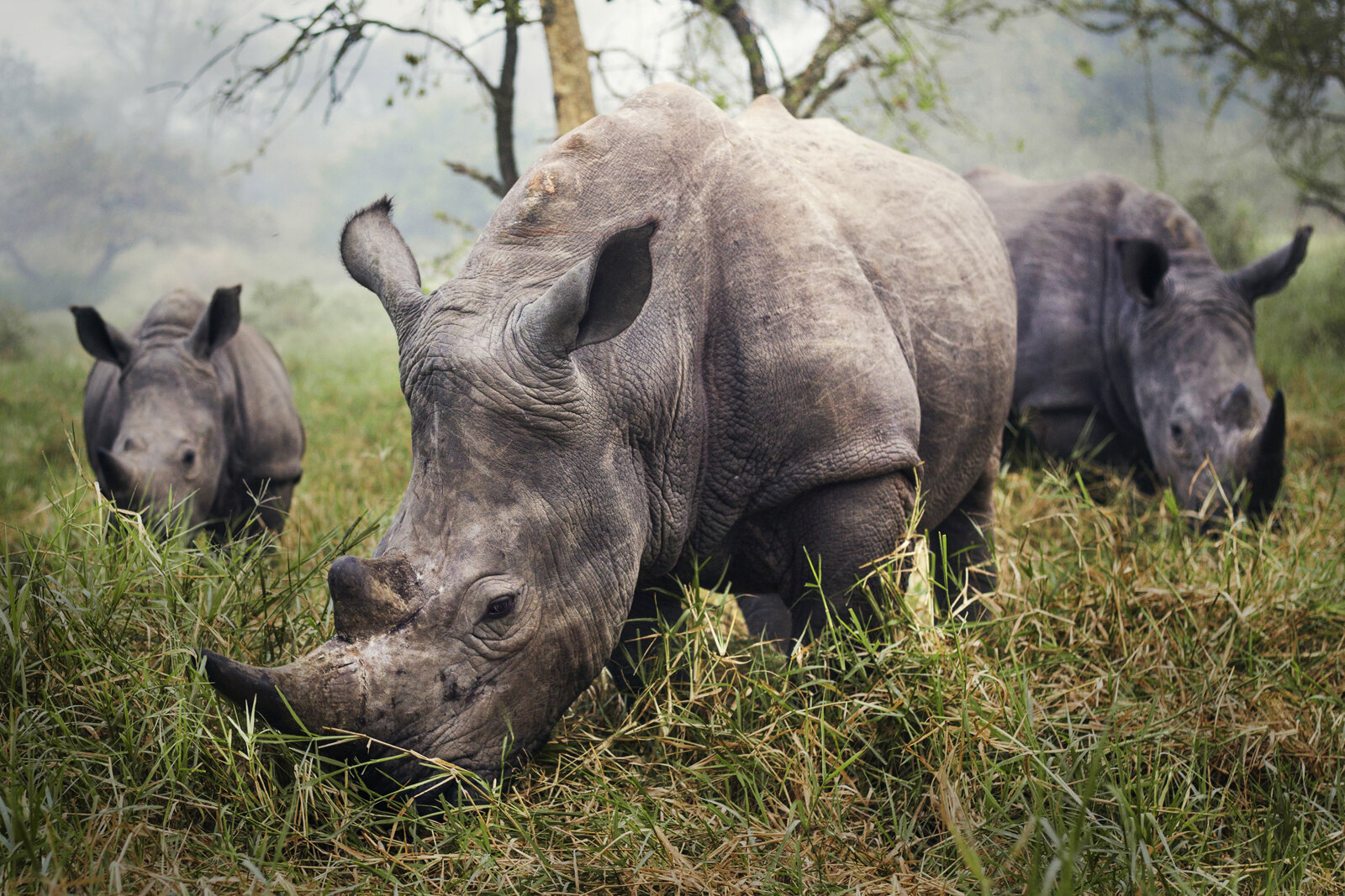 10 Striking Images From the Winners of Nat Geo's 2015 Traveler Photo ...