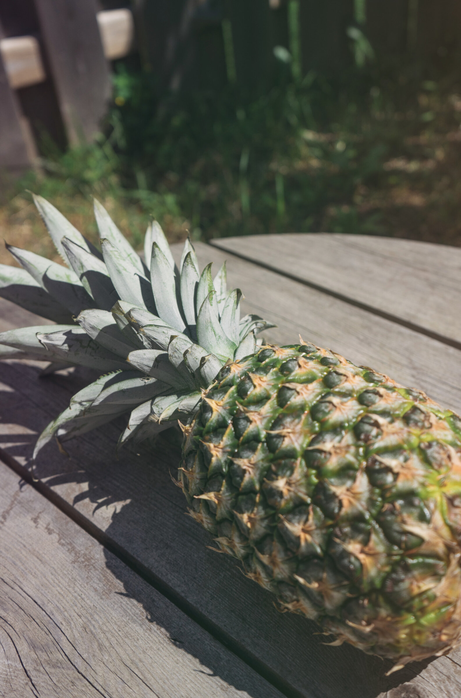 I Can't Stop Looking at These Gorgeous Stock Photos of Pineapples ...