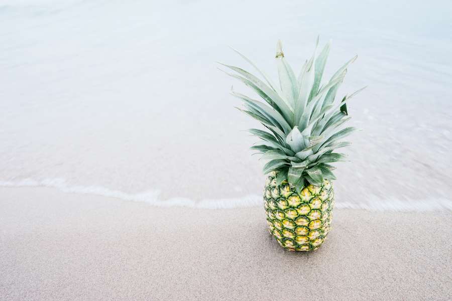I Can't Stop Looking at These Gorgeous Stock Photos of Pineapples ...