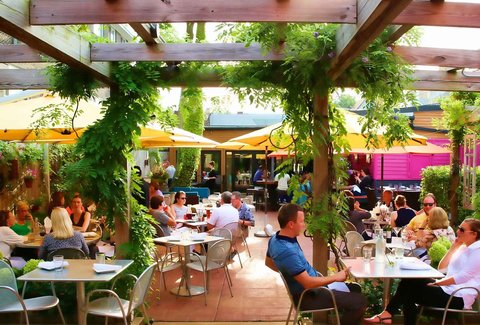 Maya del Sol: A Chicago, IL Restaurant.