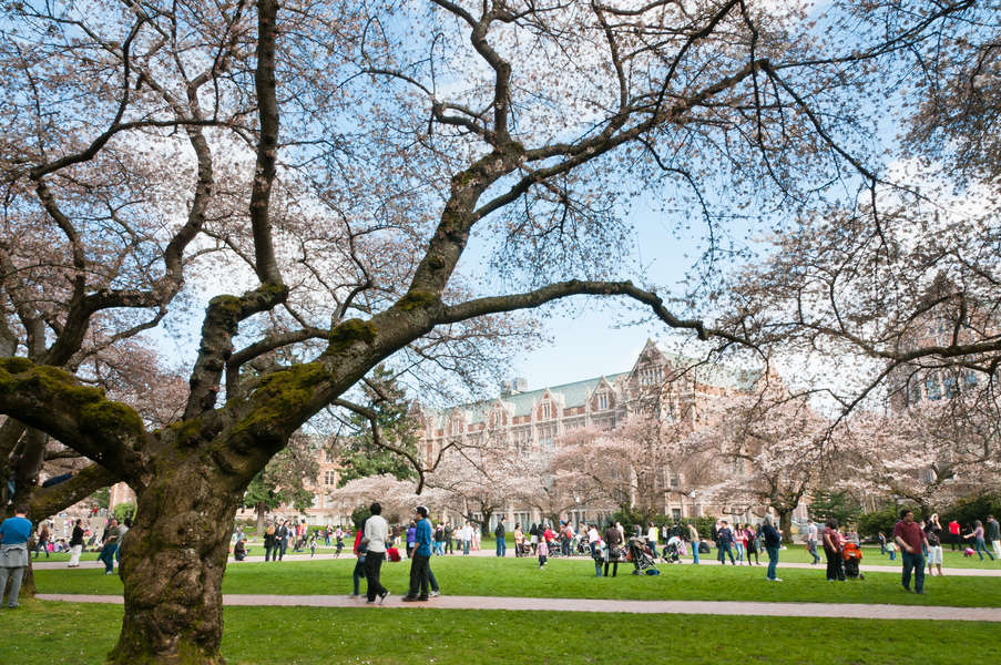 Every BCS Division I School, Ranked - Thrillist