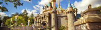 The 31 Absolute Worst People at Disneyland - Thrillist