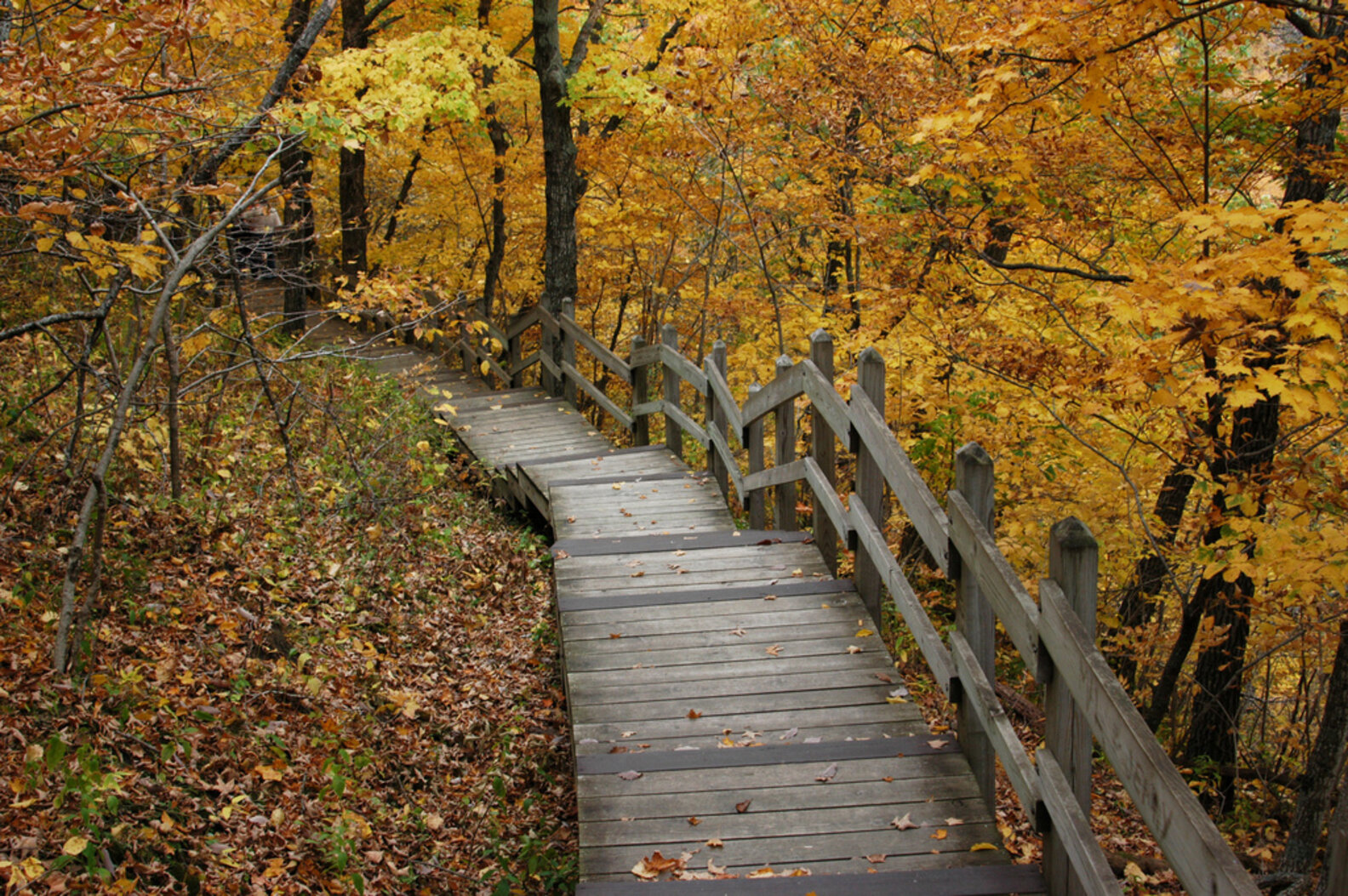 The Midwest's 11 Most Stunning Fall Vacation Destinations - Thrillist