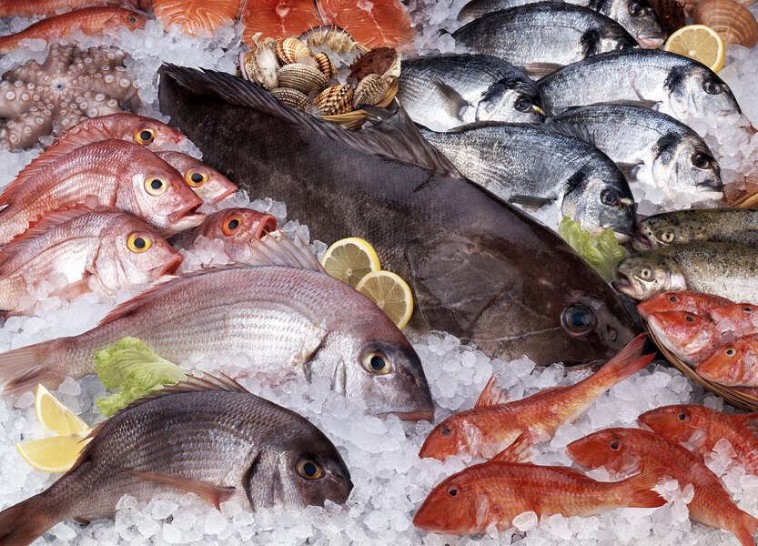 The Ocean Has Just Half the Fish It Had 45 Years Ago - Thrillist