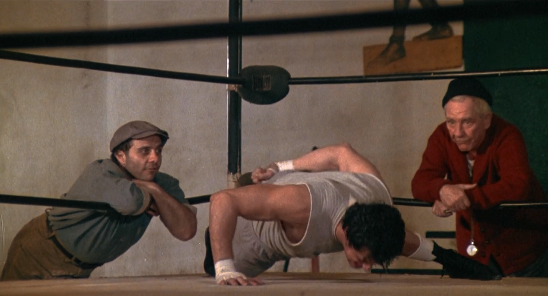 Rocky Coach Deals | sims.mpob.gov.my