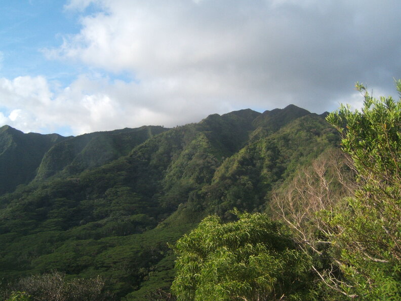 Oahu Underrated Hikes - 8 Beautiful Hiking Trails in Oahu - Thrillist