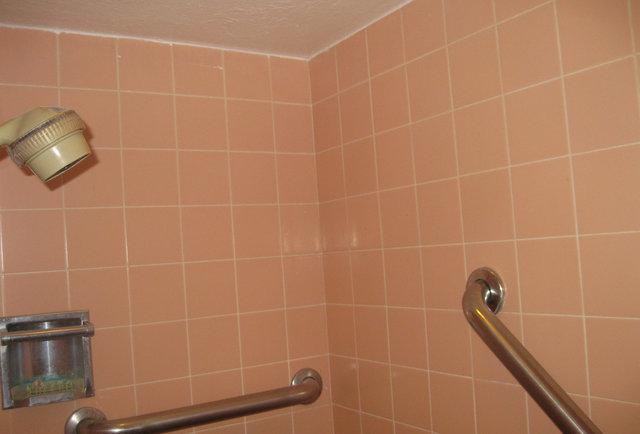 Shower Cleaning Hacks: Tips for Curtains, Doors, Heads, Caddy