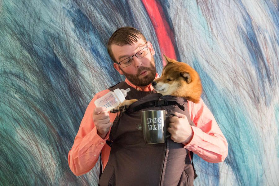 Types of Dog Owners - Good and Bad Dog Owners - Thrillist