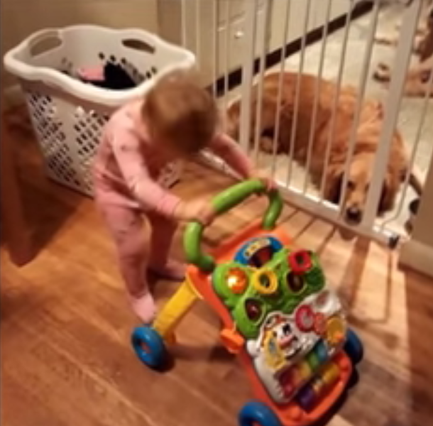 Baby Dancing To Bohemian Rhapsody - Baby Listening To Queen Video Evy ...