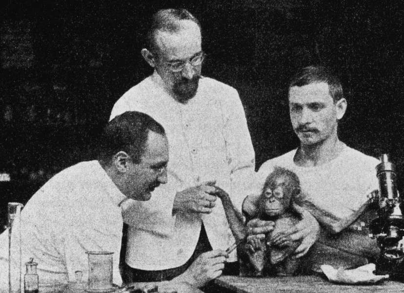 The Wacky, Ridiculous Histories of Common STDs - Thrillist