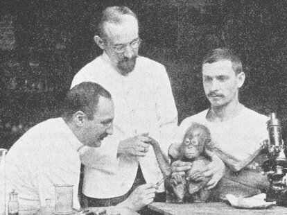 The Wacky, Ridiculous Histories of Common STDs - Thrillist