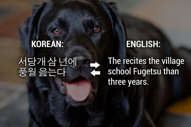 Translation - Beautiful Phrases Translated by Google - Thrillist