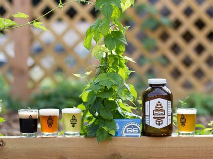 56 Brewing: A Bar in Minneapolis, MN - Thrillist