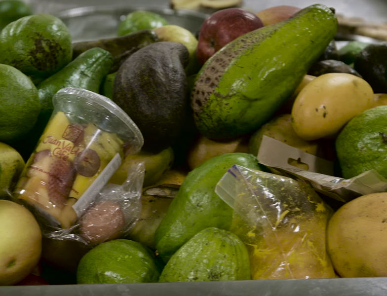 This Is What Happens to Food Confiscated at the Airport - Thrillist