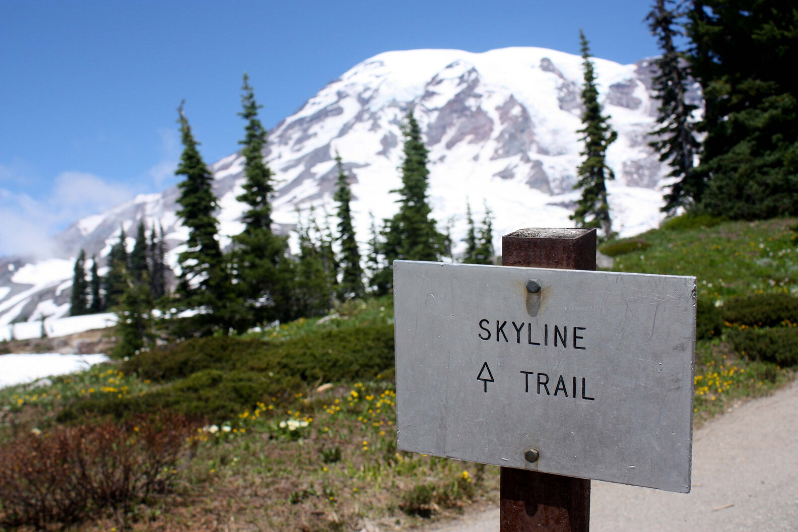 A Local's Guide to Surviving Seattle's Darkness - How to Make It ...