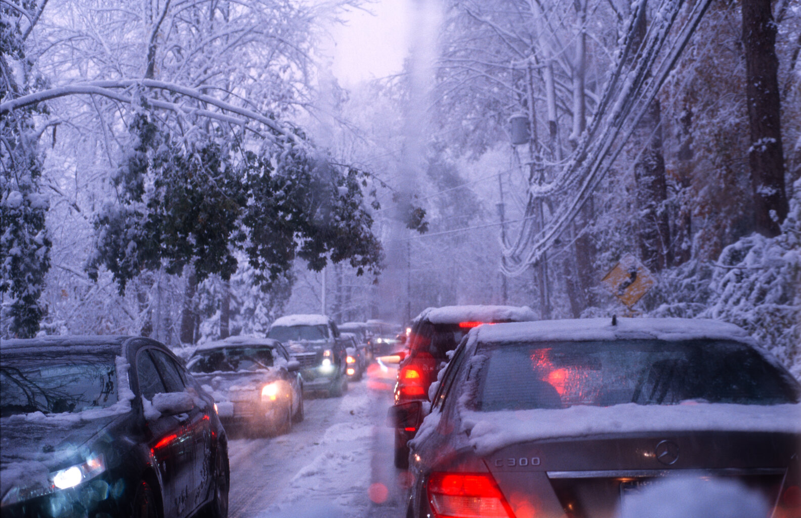 A Local's Guide to Surviving Seattle's Darkness - How to Make It ...