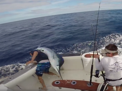 Dude Gets Tackled, Nearly Killed by the 200lb Marlin He Just Caught ...