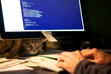 Cold and Flu Cures and Prevention - How to Avoid Getting Sick at Work ...