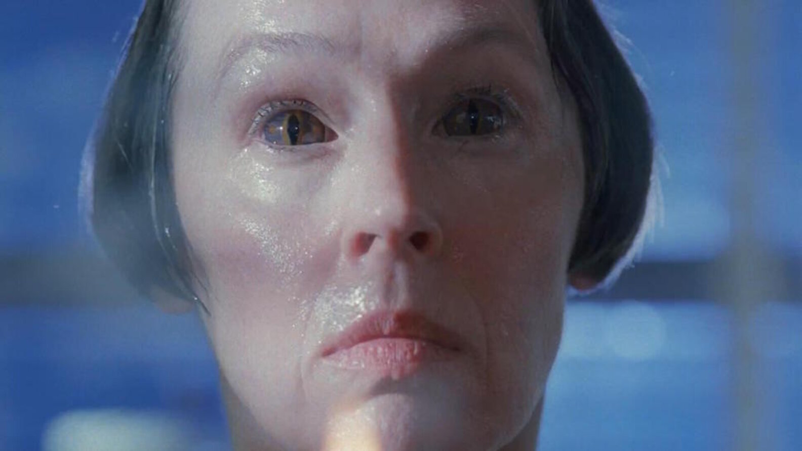 Best X-Files Episodes: All 201 Episodes of The X-Files Ranked - Thrillist