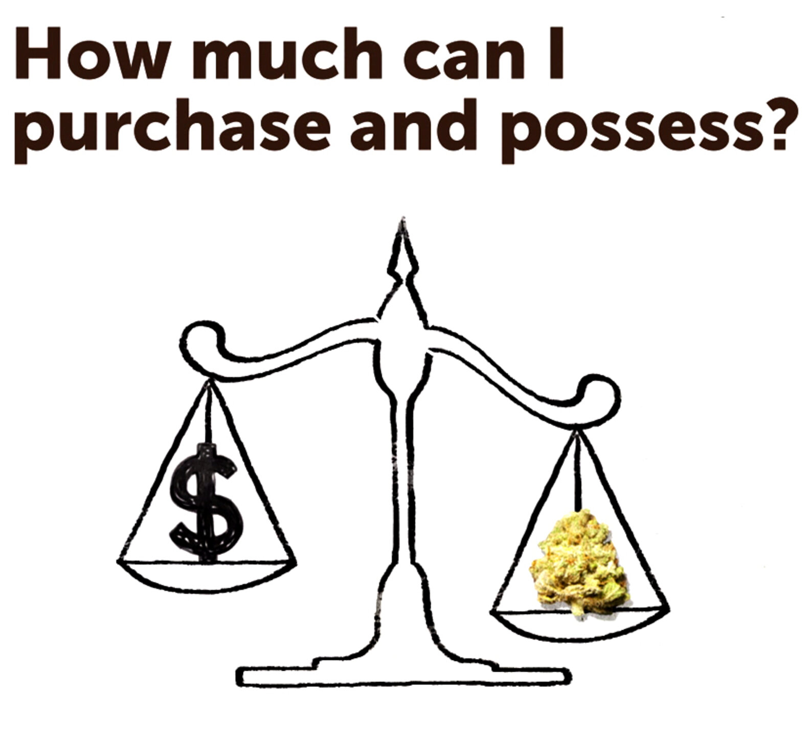 Basic Cannabis Questions - Marijuana Facts - Thrillist