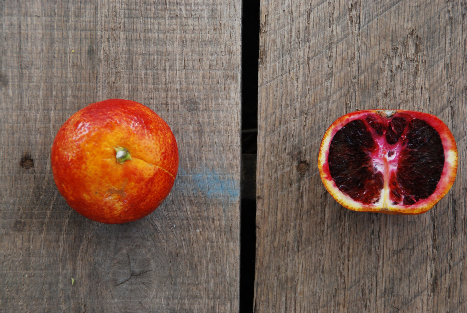 Foods in Season in February - Thrillist